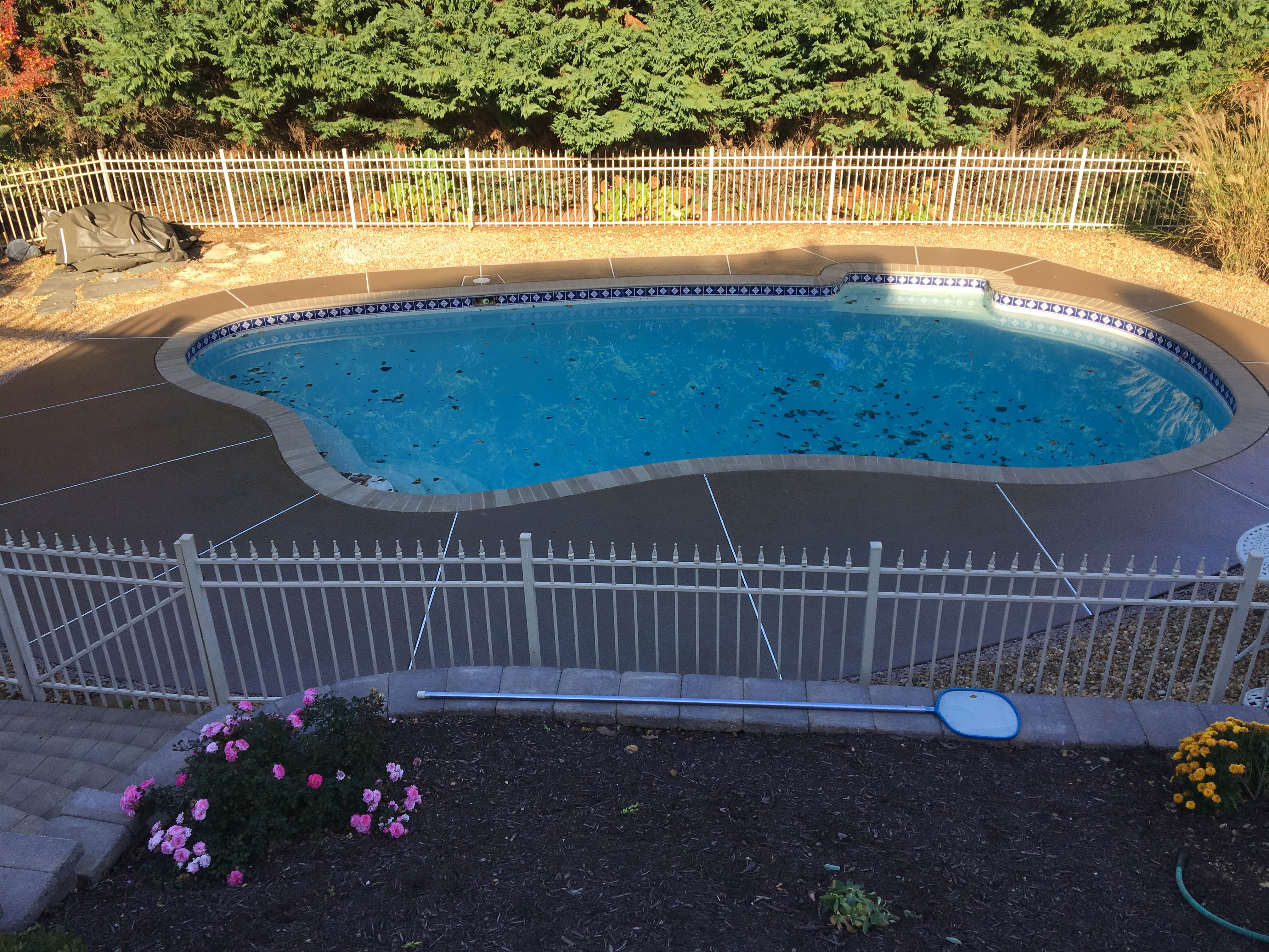 Custom Concrete Pool Deck | Blackwater Concrete | Virginia